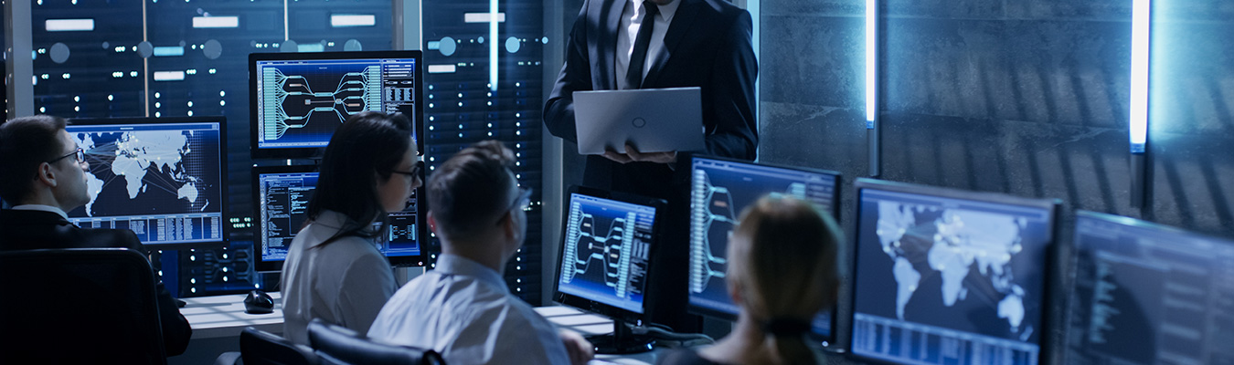 IT Governance and Integrated Framework