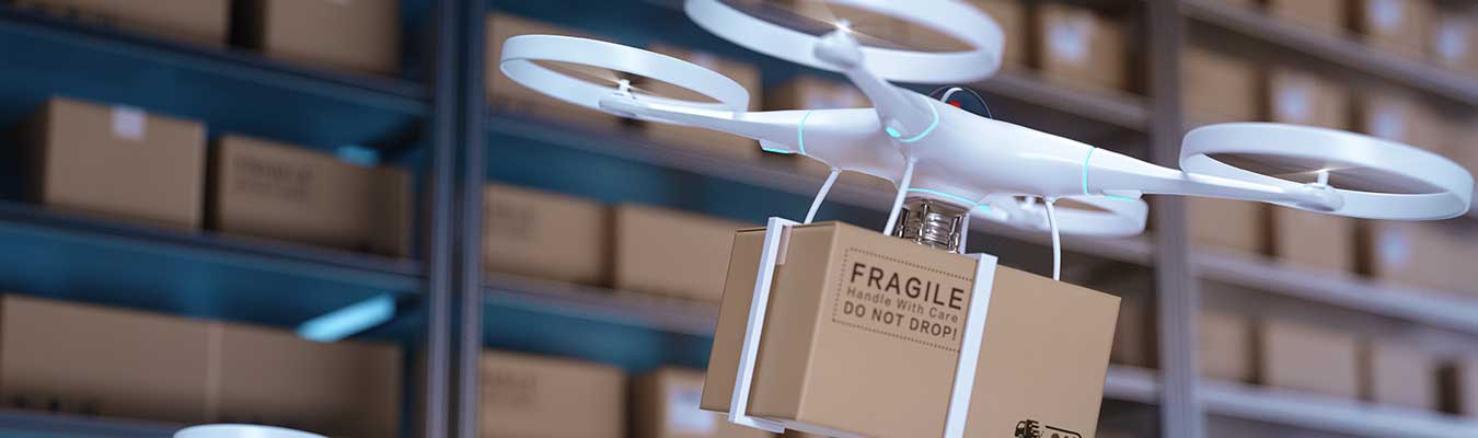 Extended Warehouse Management Deployment Options