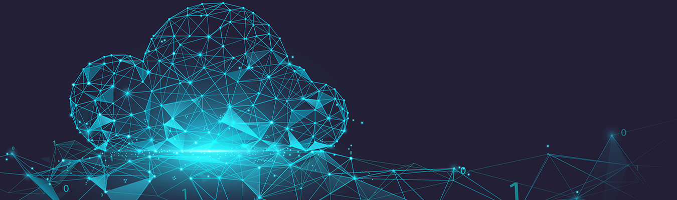 SAP Native Barcode Scanning Application for Better EWM Functionalities