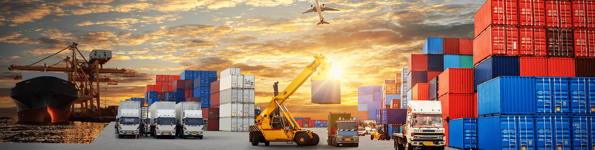 Enhance Your Supply Chain Value with Ariba Supplier Enablement