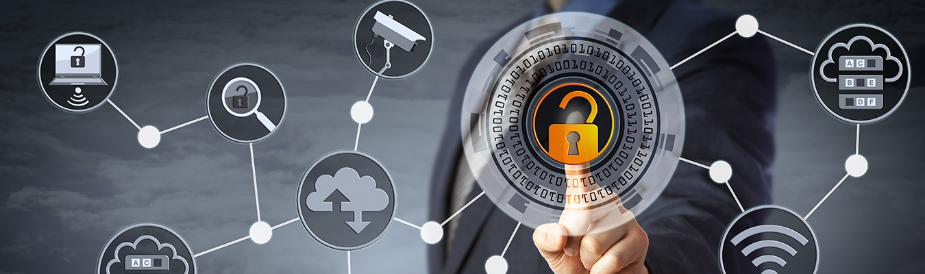 Adding Privacy and Cybersecurity in the Hyperconnected World of IoT