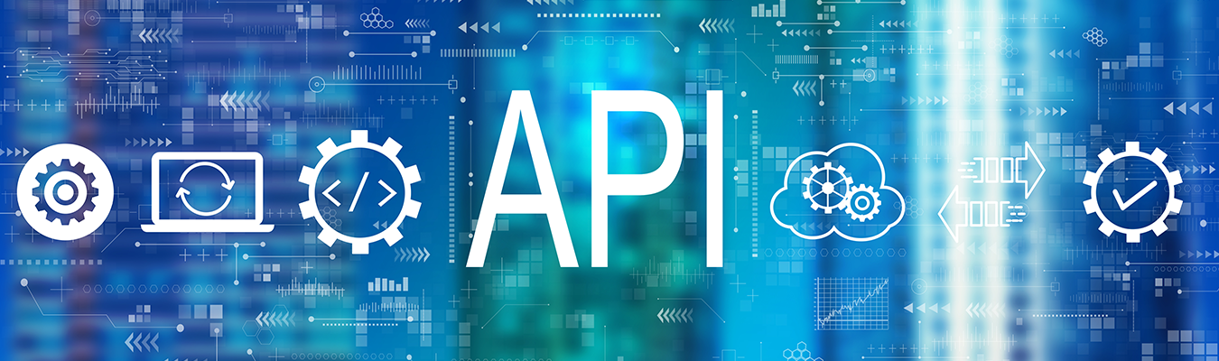 Empowering Digital Evolution: How API Excellence Redefines Business Success