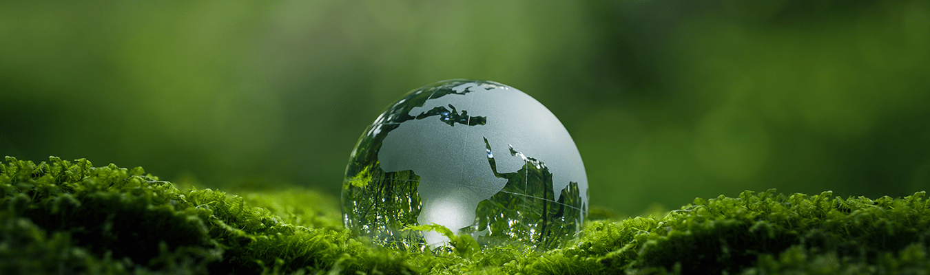 SAP EHS: Effective Climate Risk Assessment Tools